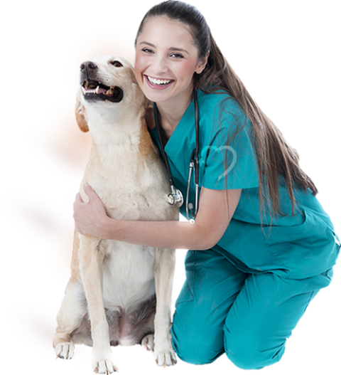 Reading - Vet's Klinic