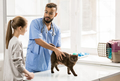 Reading - Vet's Klinic