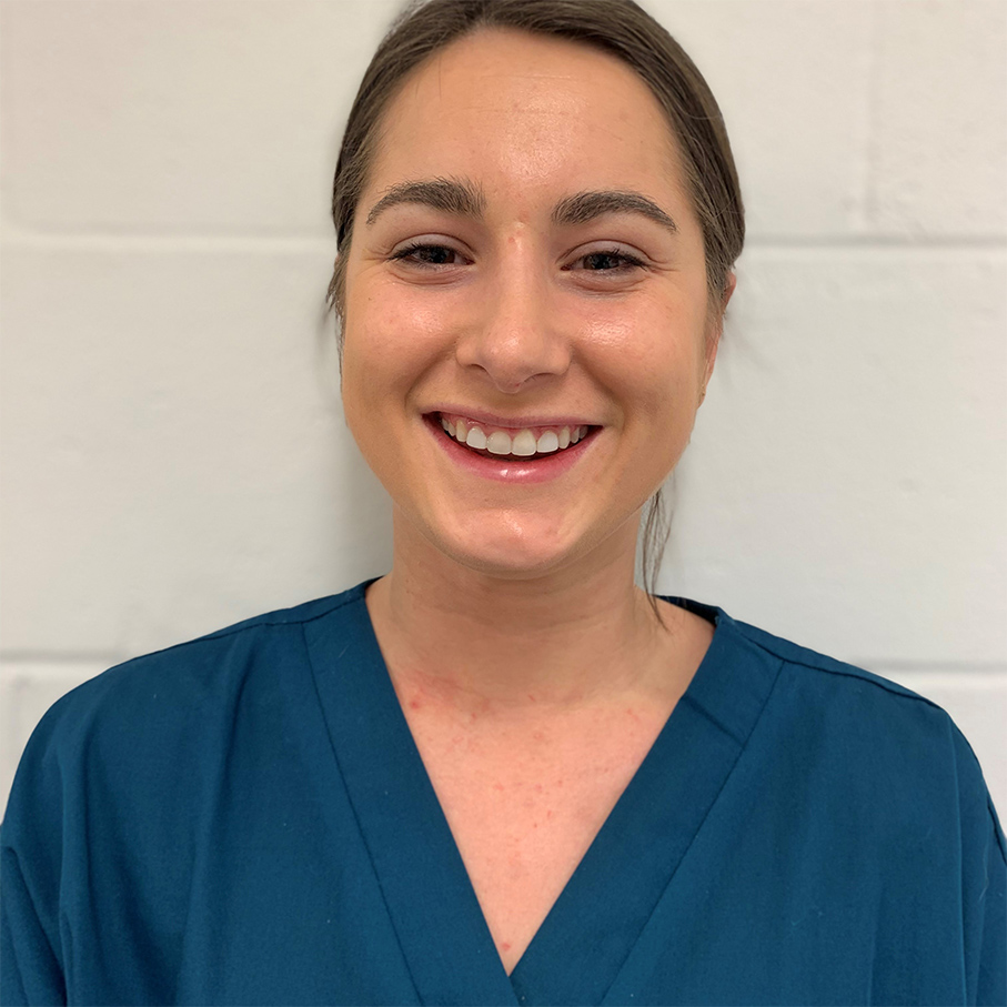 Reading - Vet's Klinic